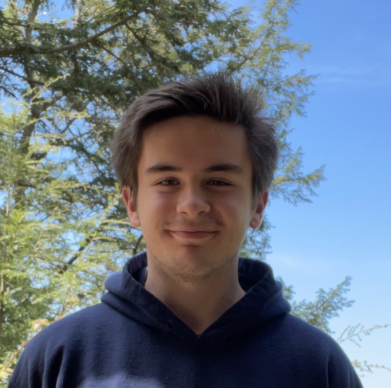 MaplePrimes - Questions, Posts, help, musings, answers ... all things ...